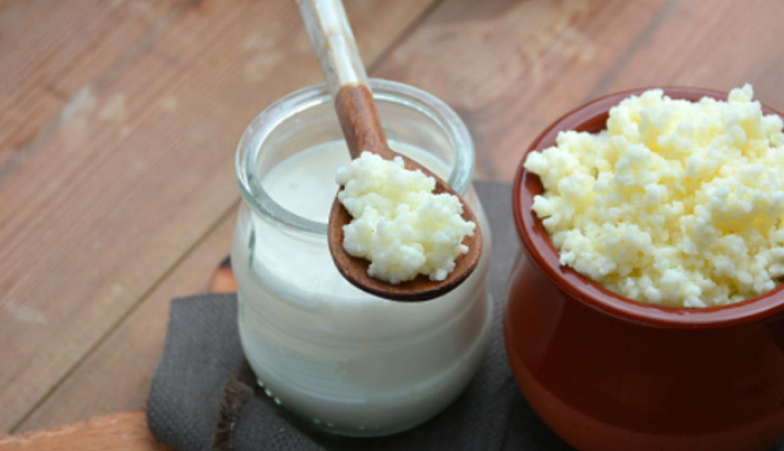 Todo lo que tenes que saber sobre el kefir, el alimento clave para ...