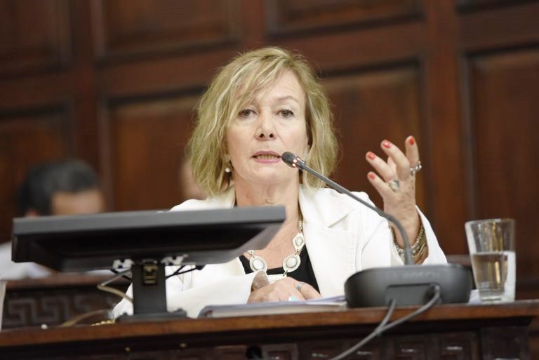 La diputada Galván busca declarar la emergencia económica y social para ...